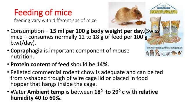Feeding of laboratory animals by Dr.SUNIL KUMAR BOYA