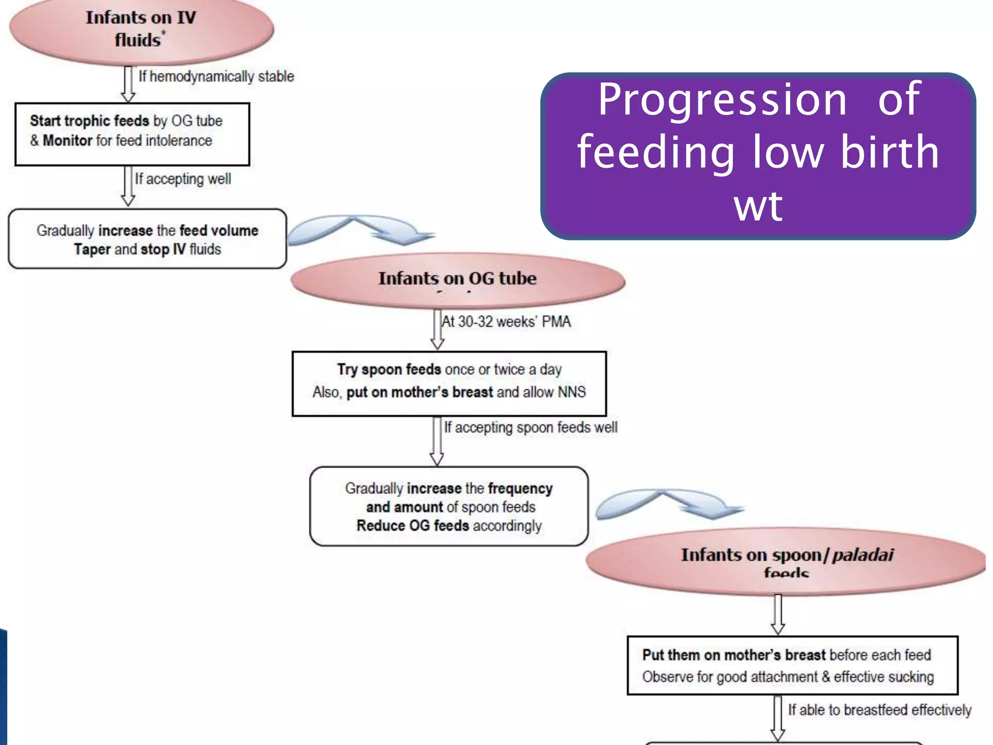 Feeding of low birth weight babies | PPTX