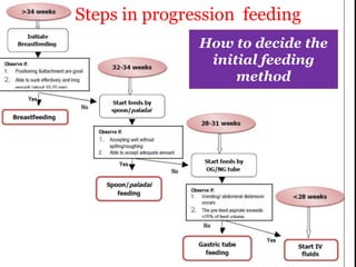 Feeding of low birth weight neonates | PPTX