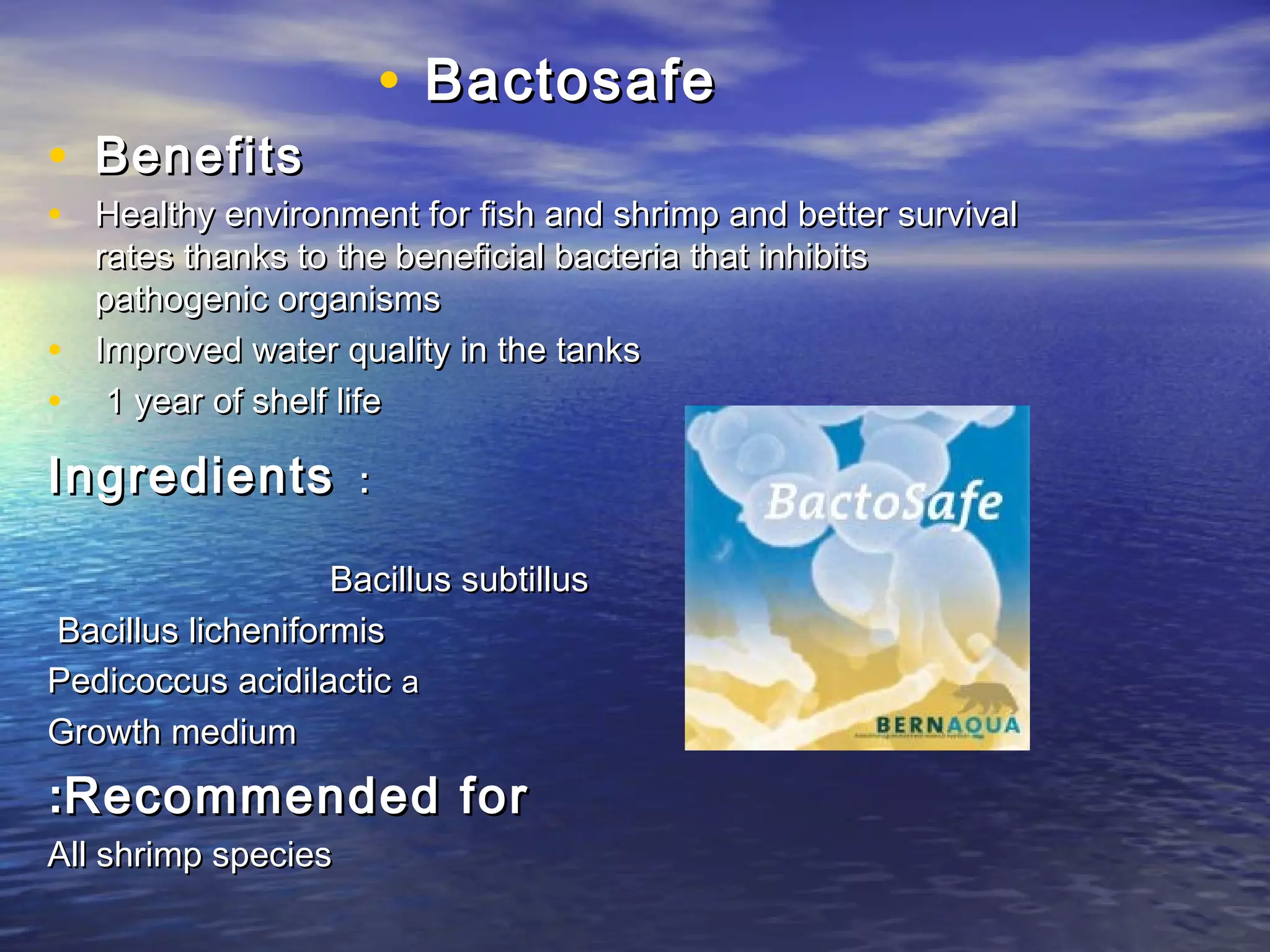 Feeding of shrimps | PPT