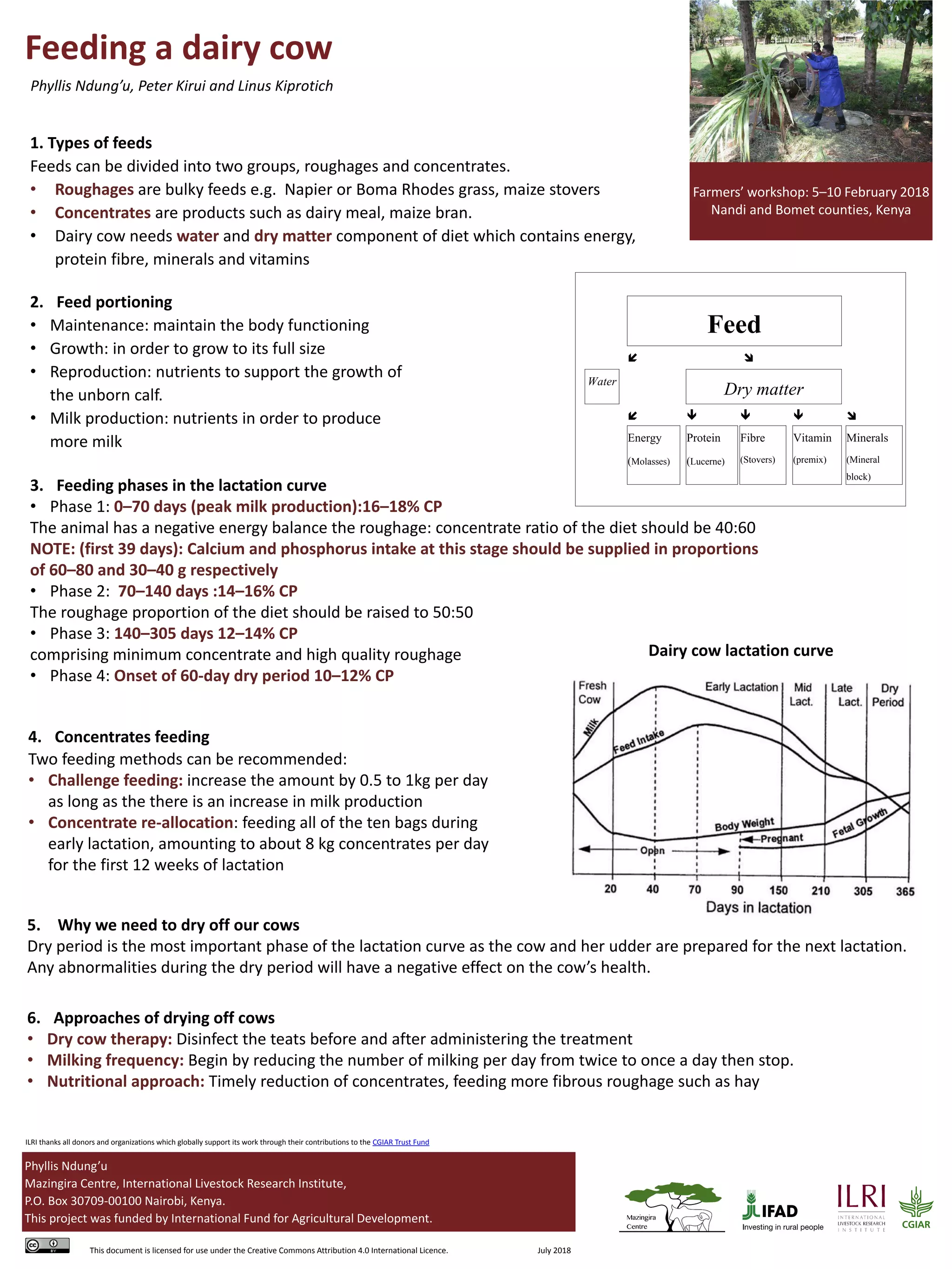 Feeding a dairy cow | PPTX