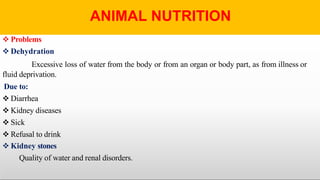 Feeding Problems and Nutritional Disorders.pptx