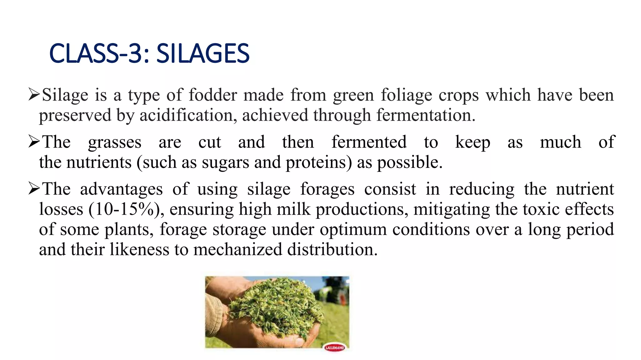 Feed ingredients used for animal feed (ruminants) | PPTX