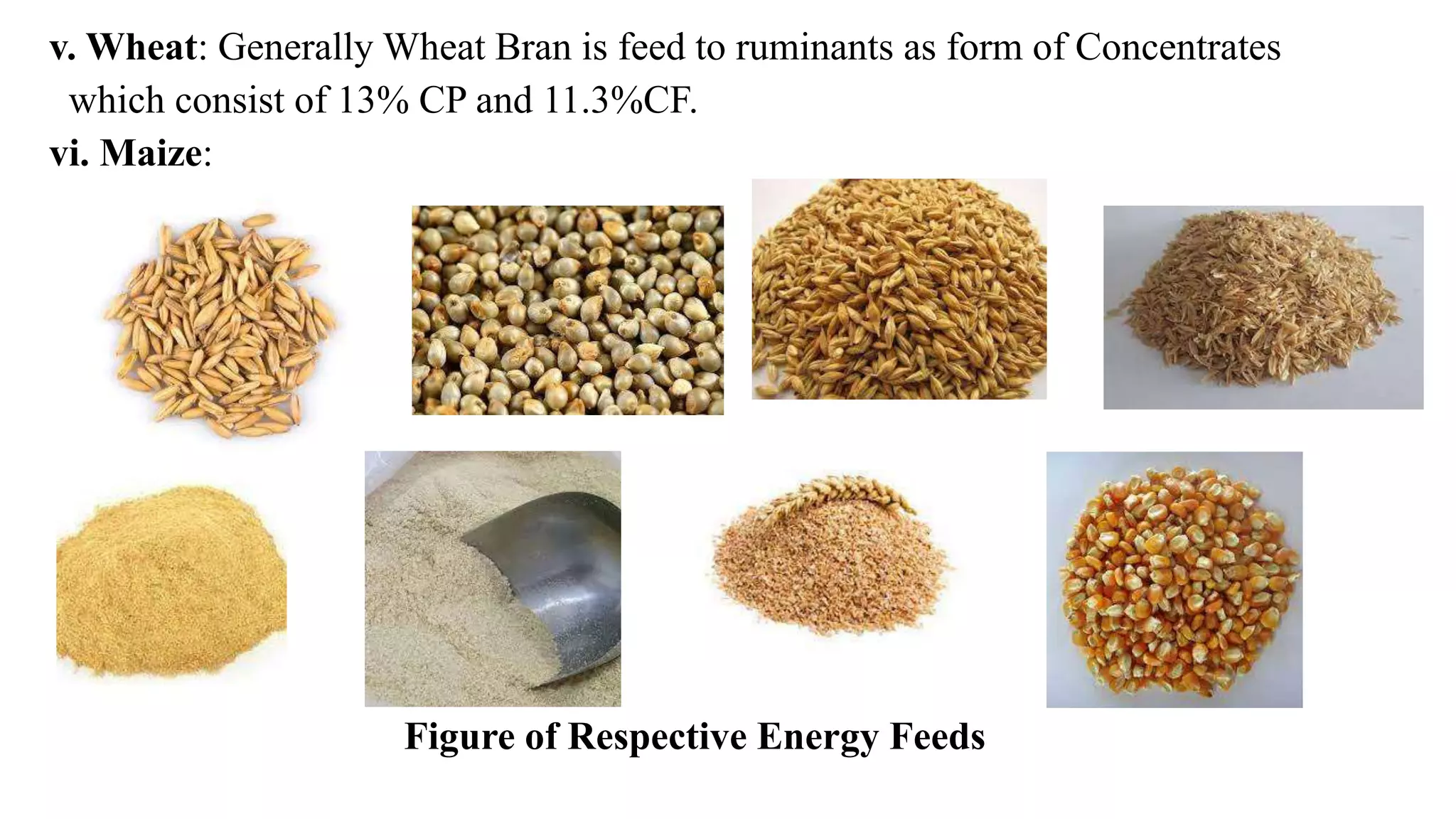 Feed ingredients used for animal feed (ruminants) | PPTX