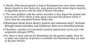 Feed ingredients used for animal feed (ruminants) | PPTX