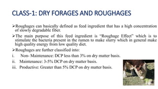Feed ingredients used for animal feed (ruminants) | PPTX