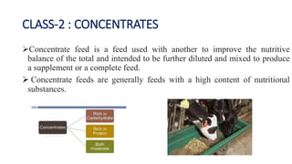 Feed ingredients used for animal feed (ruminants) | PPTX
