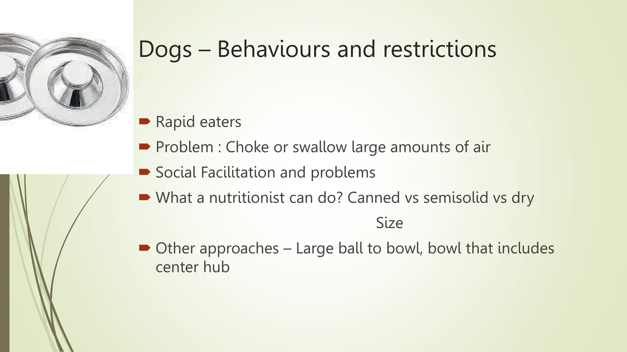 FEEDING REGIMEN FOR DOGS.pptx
