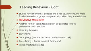 FEEDING REGIMEN FOR DOGS.pptx