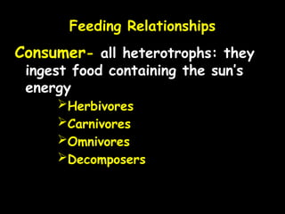 Feeding Relations for ecological interactions.pptx