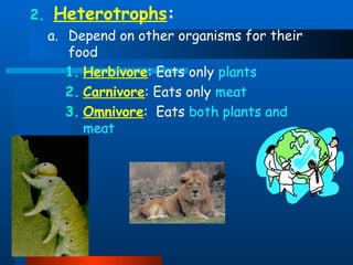 feedingrelationshipsfoodchainsfoodwe2.ppt