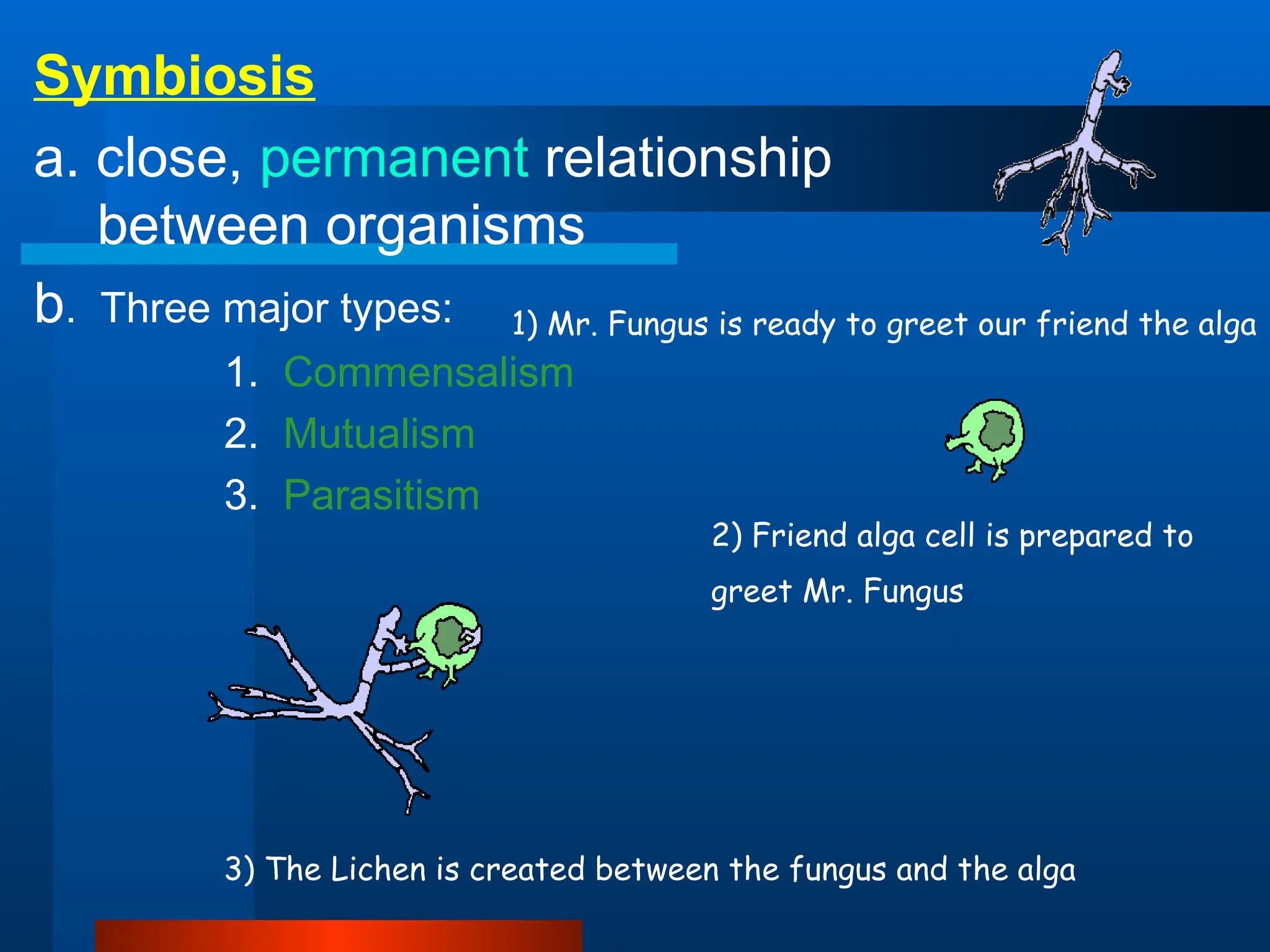 feedingrelationshipsfoodchainsfoodwe2.ppt