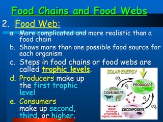 feedingrelationshipsfoodchainsfoodwe2.ppt