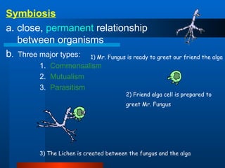 feedingrelationshipsfoodchainsfoodwe2.ppt