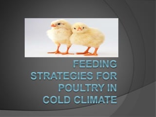 Feeding strategies for livestock and poultry in relation with climatic ...