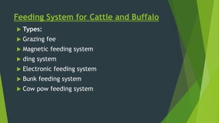 Feeding system for livestock and poultry | PPTX