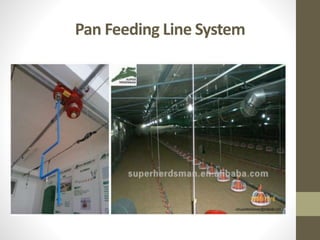 Feeding system of poultry (2) | PPTX