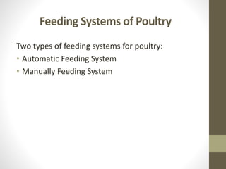 Feeding system of poultry (2) | PPTX