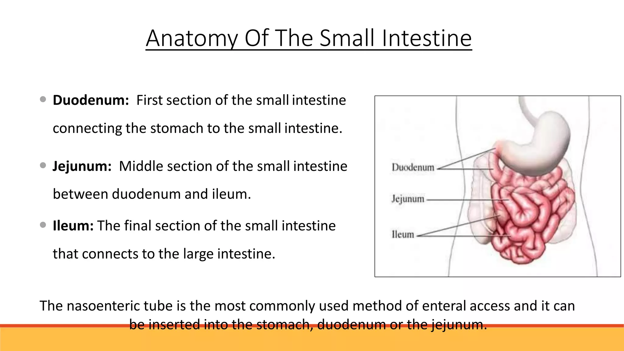 Feeding Techniques.pptx