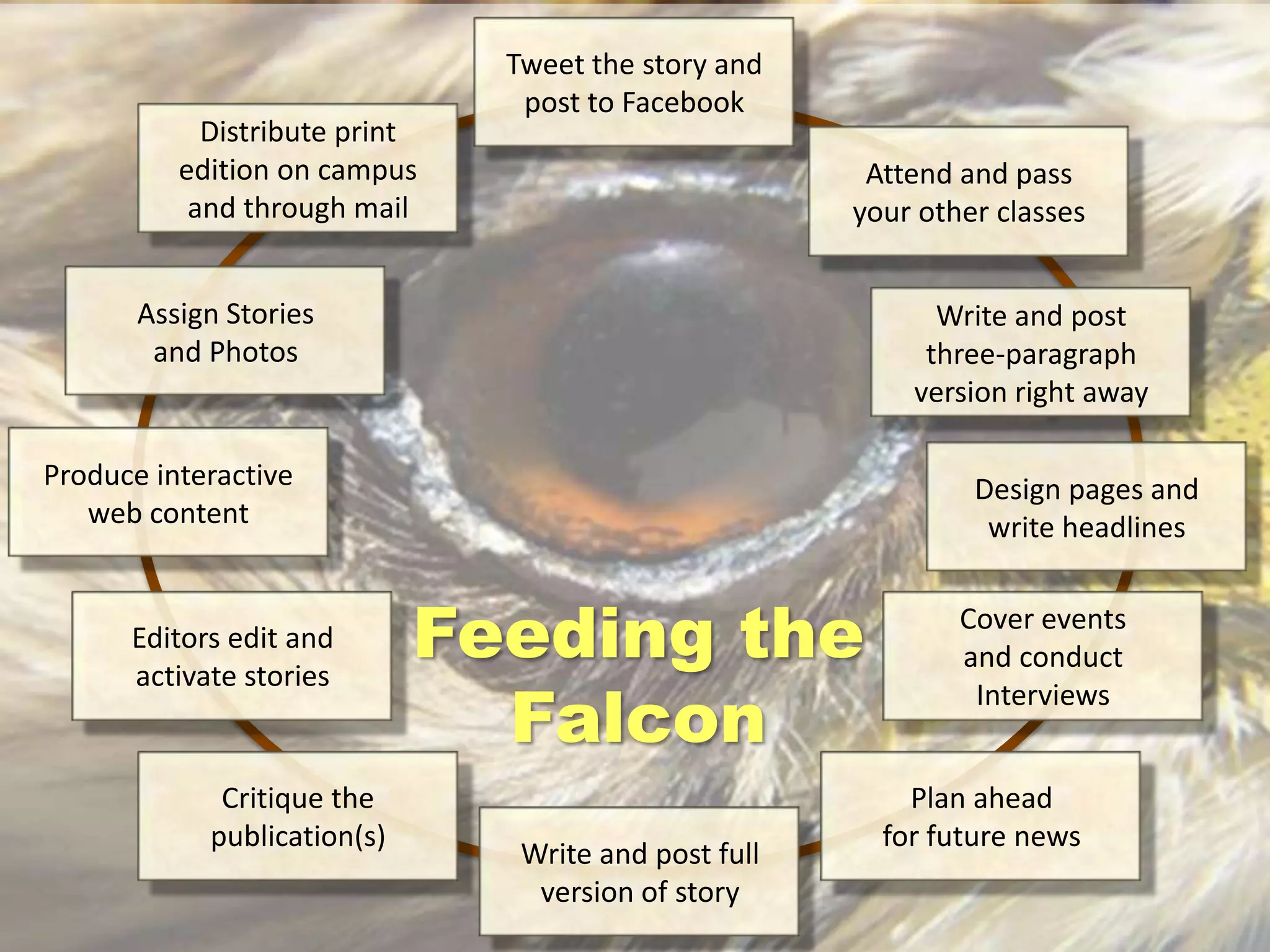 Feeding The Falcon | PPTX | Technology & Computing