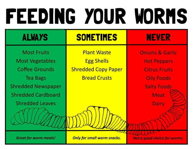 Feeding Worms | PDF
