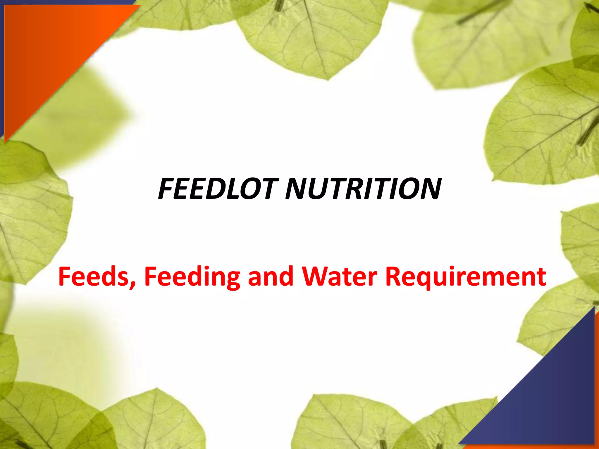 Feedlot nutrition (feeds and feeding) | PPTX