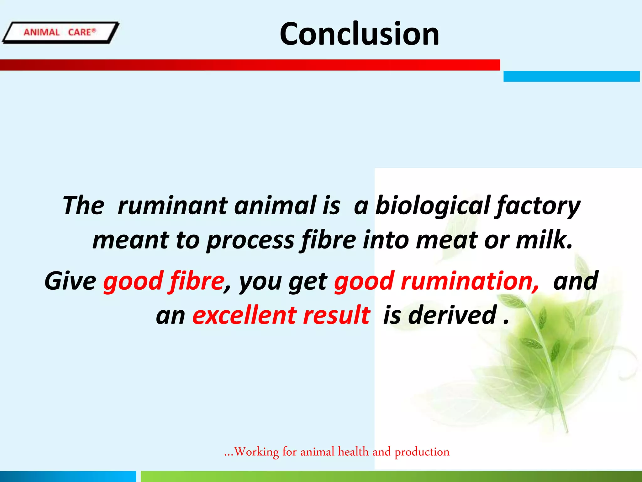 Feedlot nutrition (feeds and feeding) | PPTX