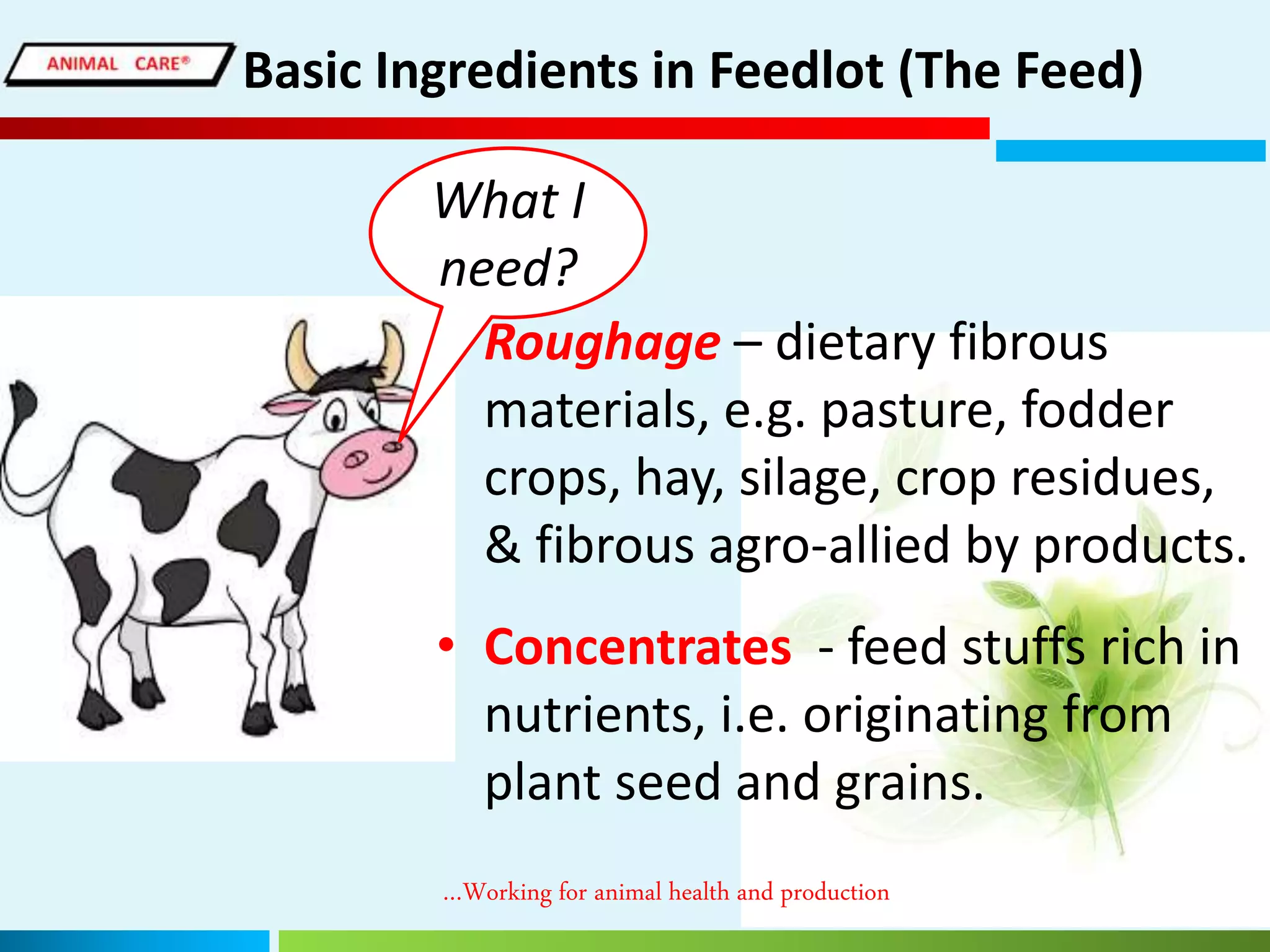 Feedlot nutrition (feeds and feeding) | PPTX