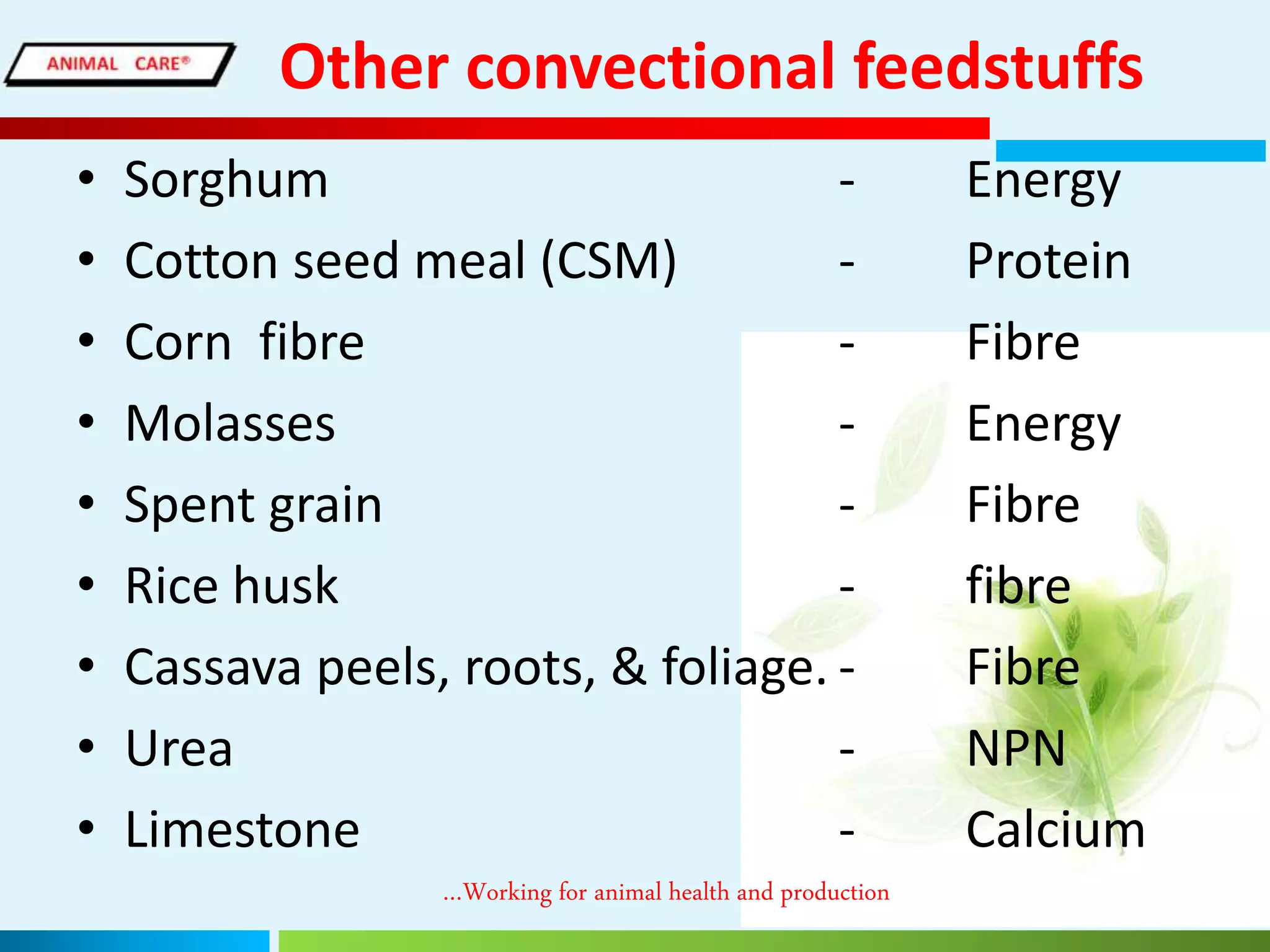 Feedlot nutrition (feeds and feeding) | PPTX