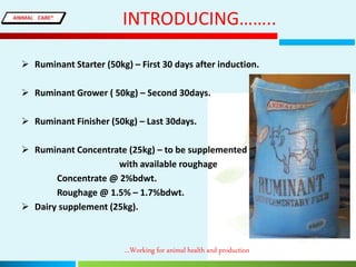 Feedlot nutrition (feeds and feeding) | PPTX