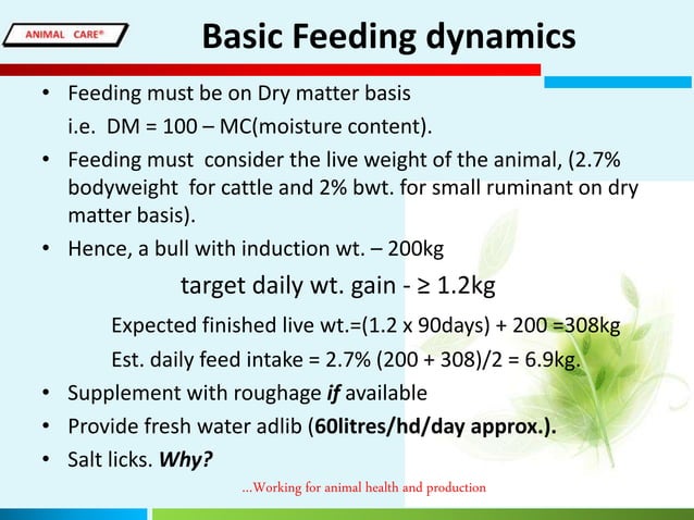 Feedlot nutrition (feeds and feeding) | PPTX | Agriculture | Industries