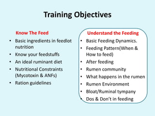 Feedlot nutrition (feeds and feeding) | PPTX