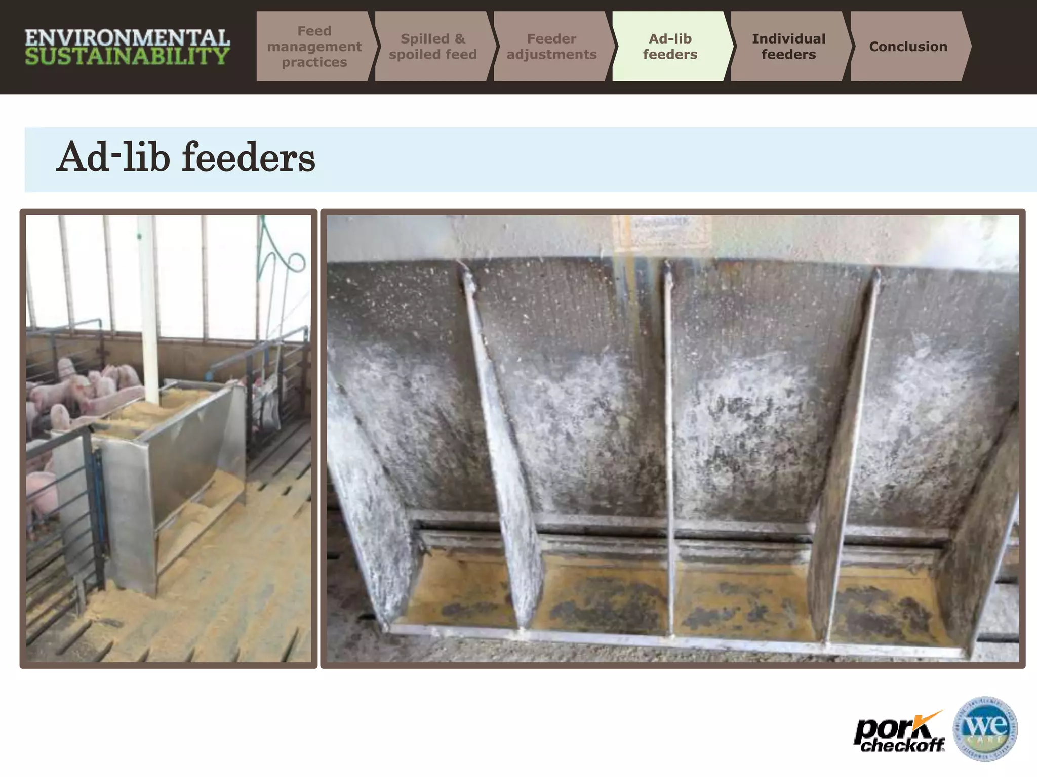 Feed management | PPTX