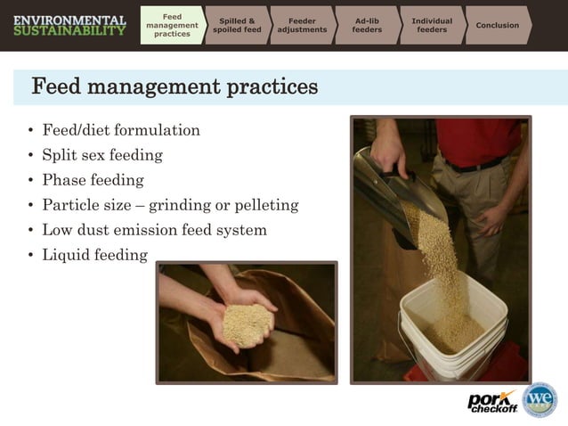 Feed management | PPTX