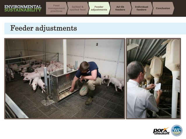 Feed management | PPTX