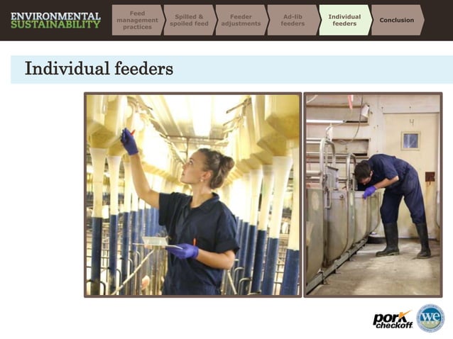 Feed management | PPTX
