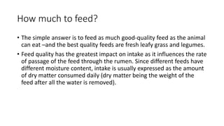 Feed Management.pptx