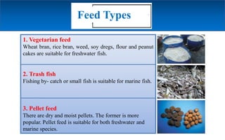 Feed management in aquaculture farm | PDF