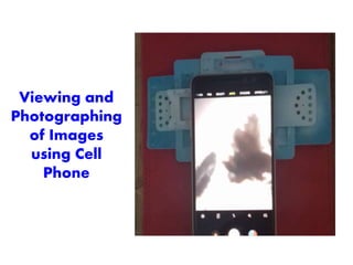 Foldoscope: A tool of Feed Microscopy for Feed Quality control of ...