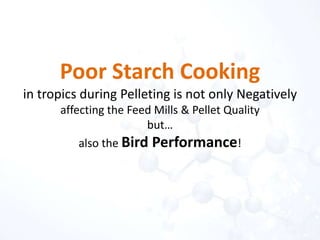 Tropical Feed Milling Issues & Solution | PPTX