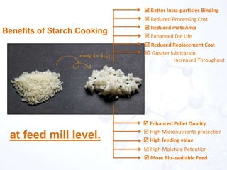 Tropical Feed Milling Issues & Solution | PPTX