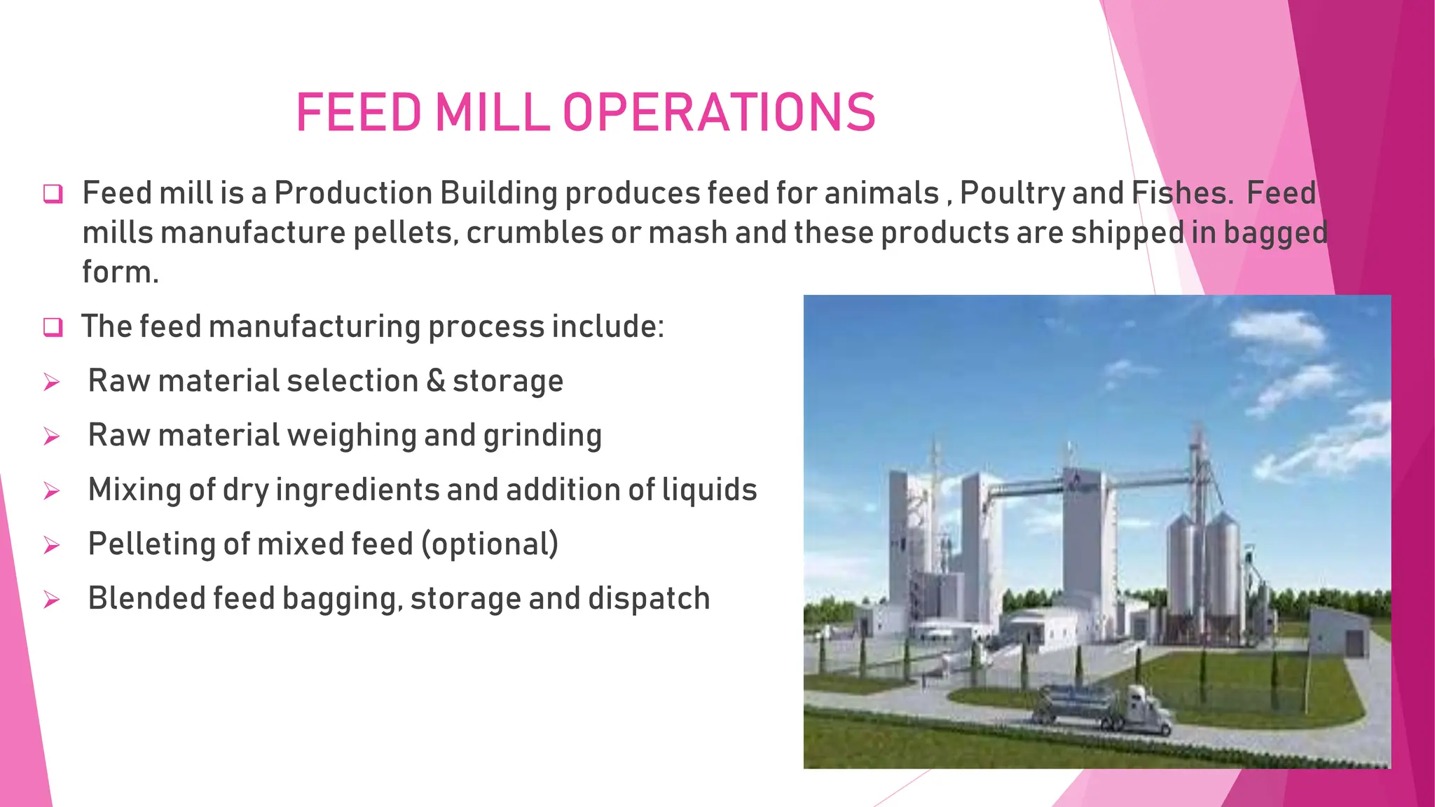 Feed Mill Operations.pptx