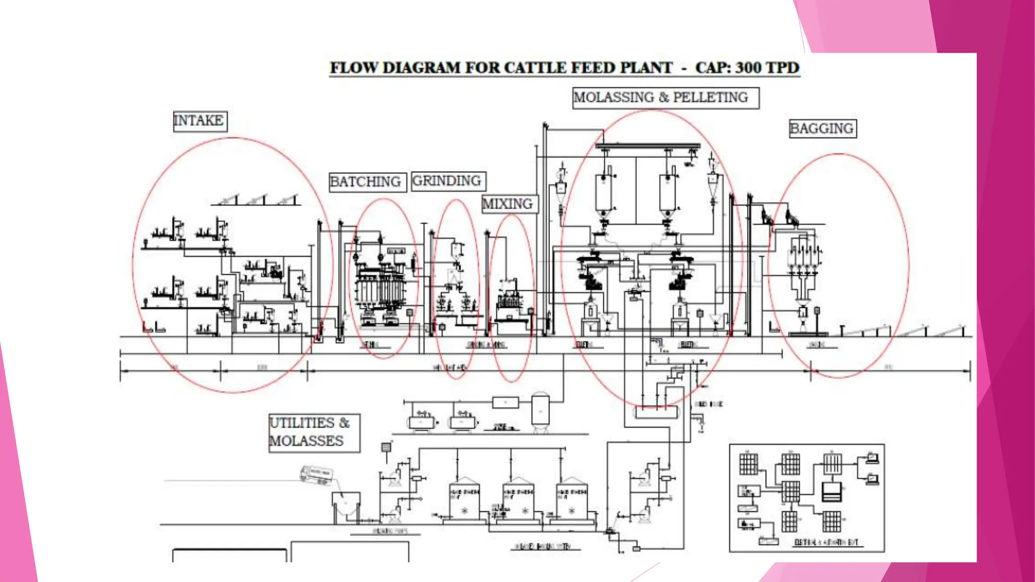 Feed Mill Operations.pptx