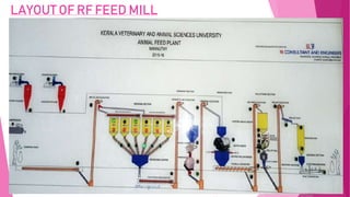 Feed Mill Operations.pptx