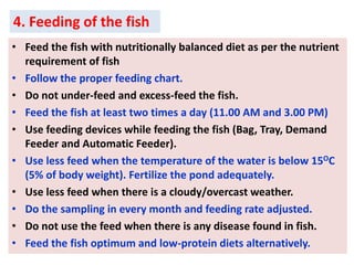 Feed Production & Feeding strategy for farmers | PPTX | Agriculture ...