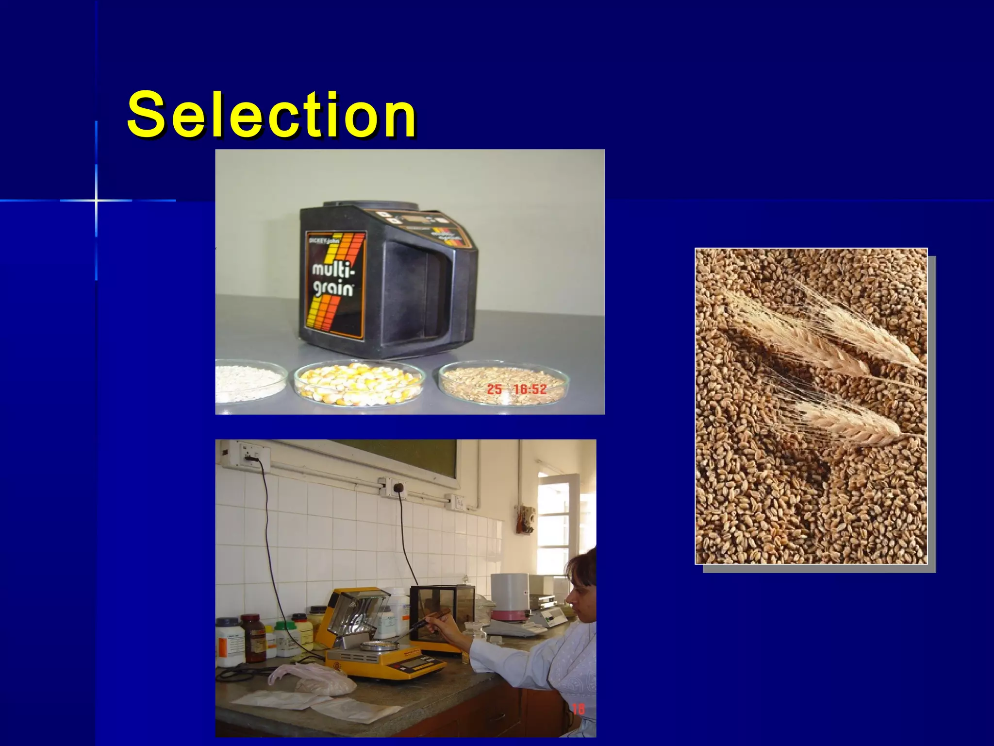 Feed raw material handling and storage | PPT