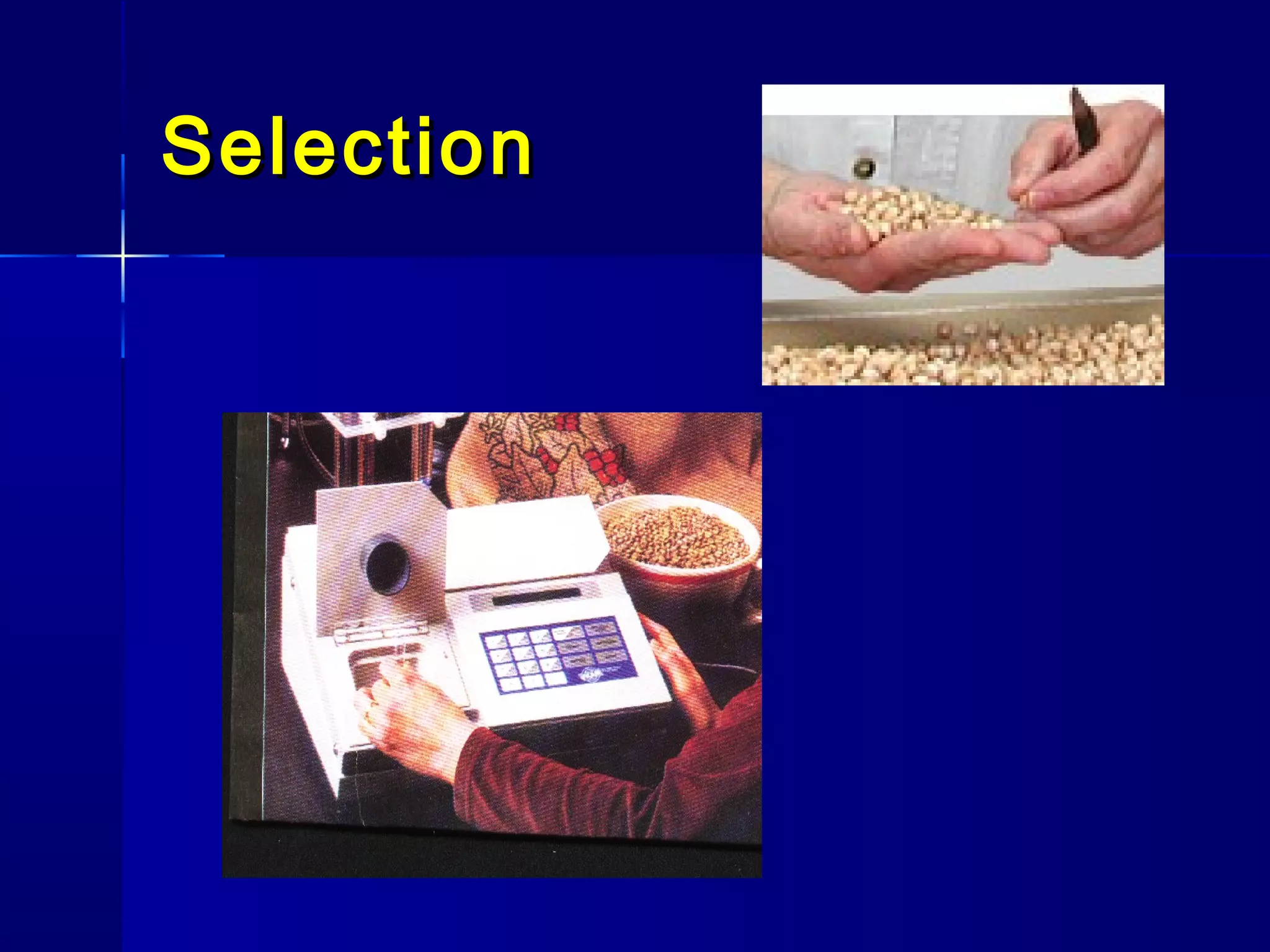 Feed raw material handling and storage | PPT