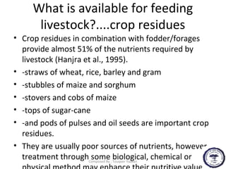 Feed resources for livestock | PPT