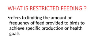FEED RESTICTION IN POULTRY NUTRIENTS.pptx saad.pptx