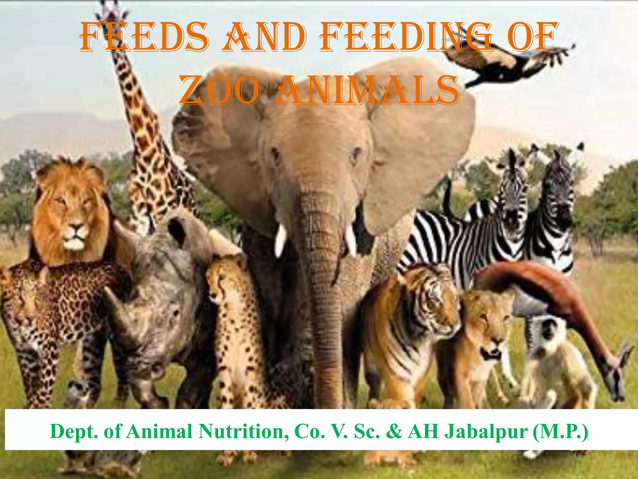 Feeds-and-Feeding-of-zoo-animals.pdf